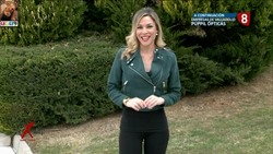 osofamosas - Bea Casado "La becaria",minis,piernas y mallas,el bombon ...